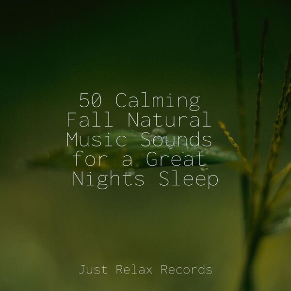 50 Calming Fall Natural Music Sounds For A Great Nights Sleep Chakra