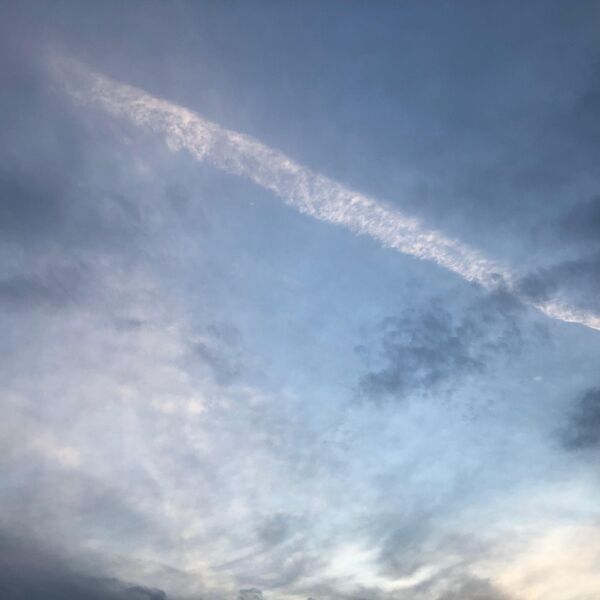 The Modern World Today (Live at The Night Owl), The Moderner - Qobuz