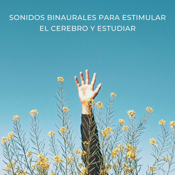 Sonidos Binaurales Para Estimular El Cerebro Y Estudiar, Latidos ...
