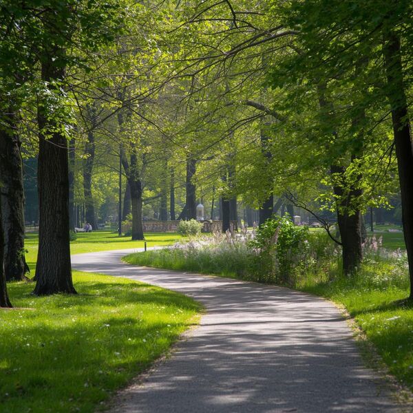 Walk In The Park, Tyrone Fu - Qobuz