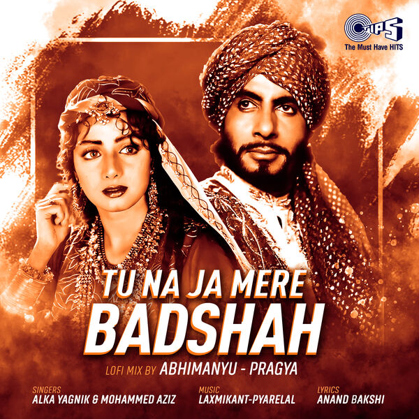 Tu Na Ja Mere Badshah (Lofi Mix), Alka Yagnik - Qobuz