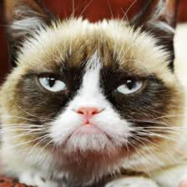 first song, \ucas - Qobuz