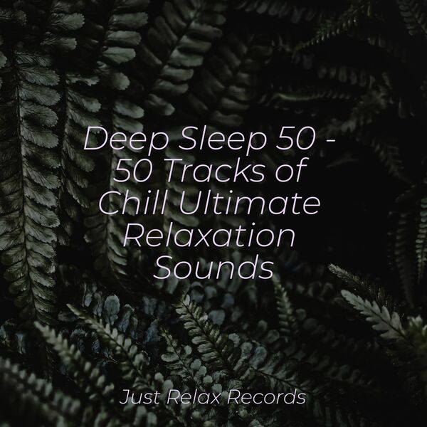 Deep Sleep 50 - 50 Tracks of Chill Ultimate Relaxation Sounds, Mantra ...