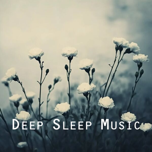 Night Sleep Music - 50 Relaxing Songs for Restful Sleep, Deep Sleep ...