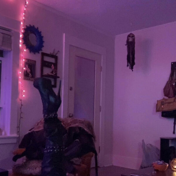 songs i made when i was lit, anne october - Qobuz