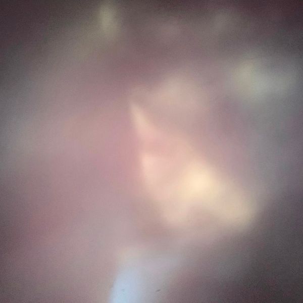 Stranger Things Have Happened, Brandy Alexander - Qobuz