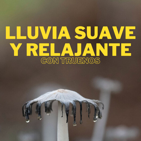Lluvia Suave Y Relajante Con Truenos, Lluvia relajarse - Qobuz