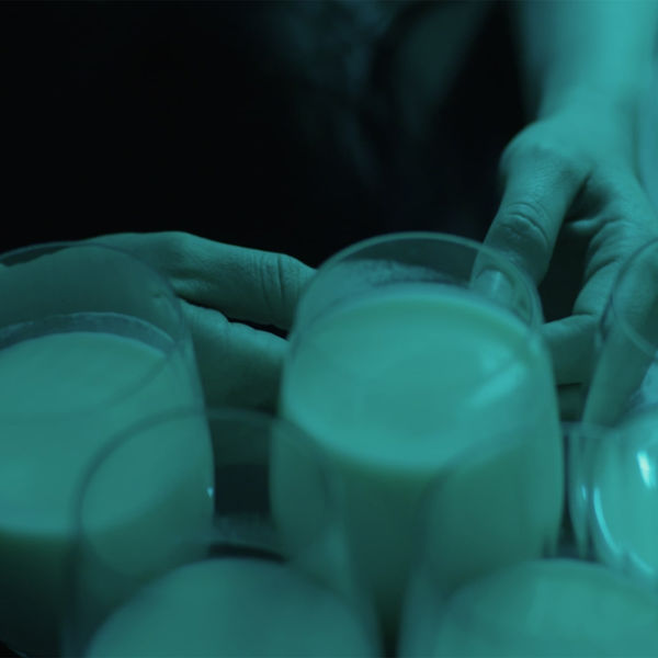 Álbum Hele min eksistens var som et glas mælk mellem mine hænder ...