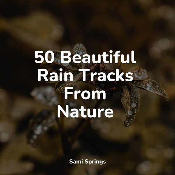 50 Beautiful Rain Tracks From Nature, Rain - Qobuz