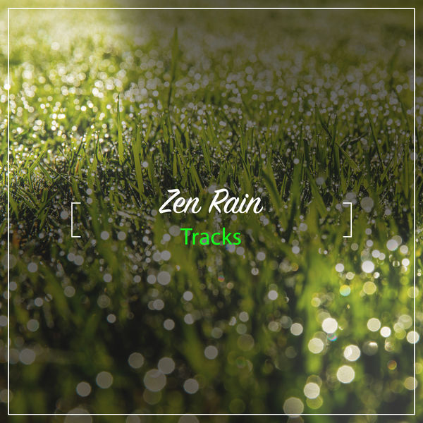 Album #10 Zen Rain Tracks for Peaceful Night Sleep, Nature Sounds XLE ...