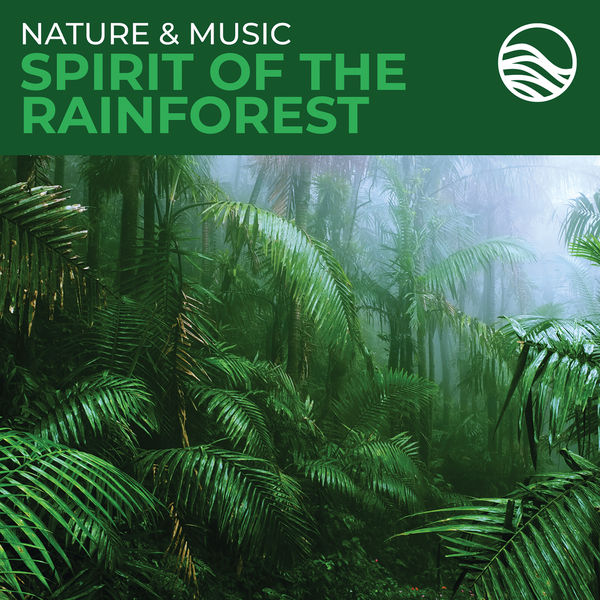 Nature & Music: Spirit Of The Rainforest, David Arkenstone - Qobuz