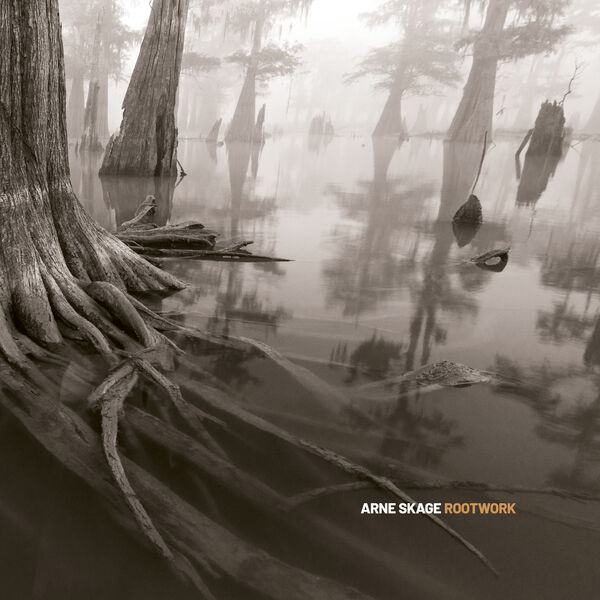 Rootwork, Arne Skage - Qobuz