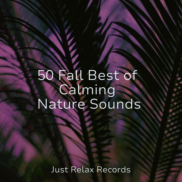 50 Fall Best of Calming Nature Sounds, Música para Relajarse ...