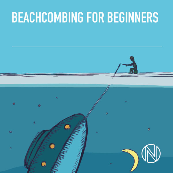 Beachcombing for Beginners, Robert White - Qobuz