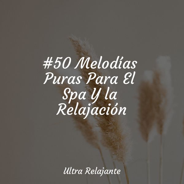 50 Melodías Puras Para El Spa Y La Relajación Dormir Sol Qobuz