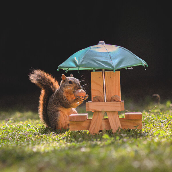 Squirrel Tape Instrumentals, Vol. 3, Evidence - Qobuz