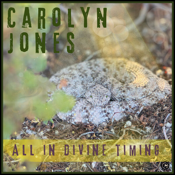 All in divine timing, Carolyn Jones - Qobuz