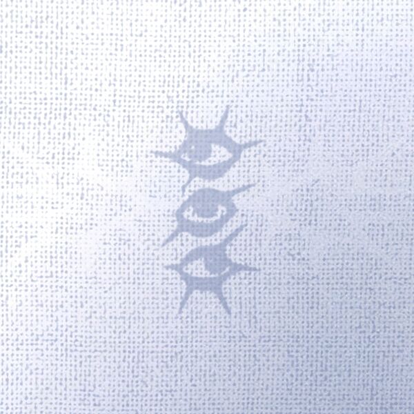 Build.Demolish.Repeat, AGENT LILY - Qobuz