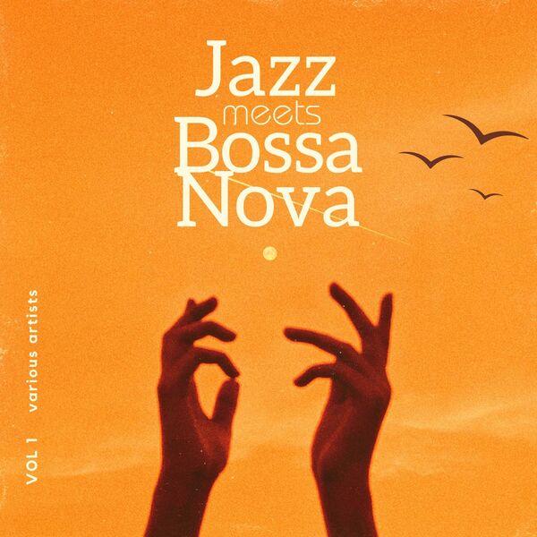 Jazz Meets Bossa Nova, Vol. 1, Various Artists - Qobuz