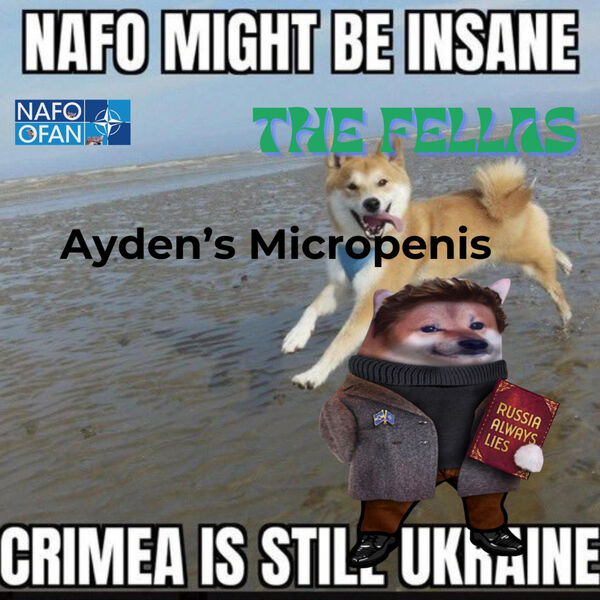 Ayden's Micropenis, The Fellas for Ukraine - Qobuz