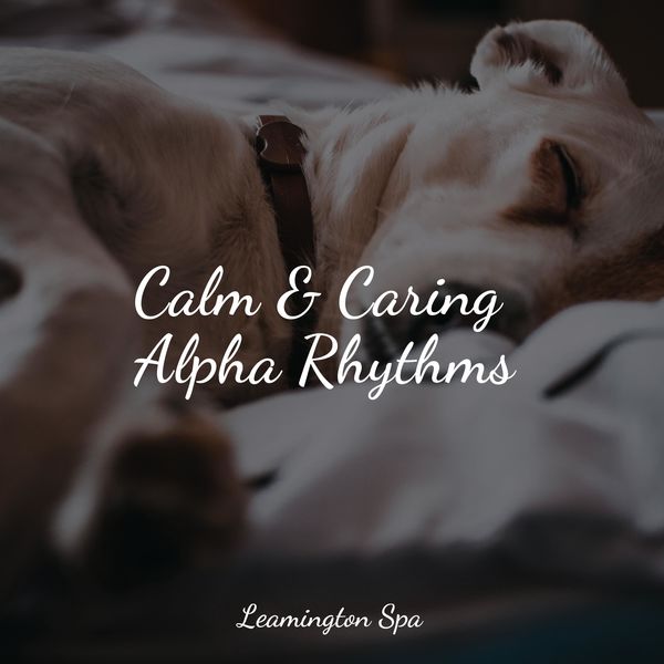 Calm & Caring Alpha Rhythms, Water Soundscapes - Qobuz