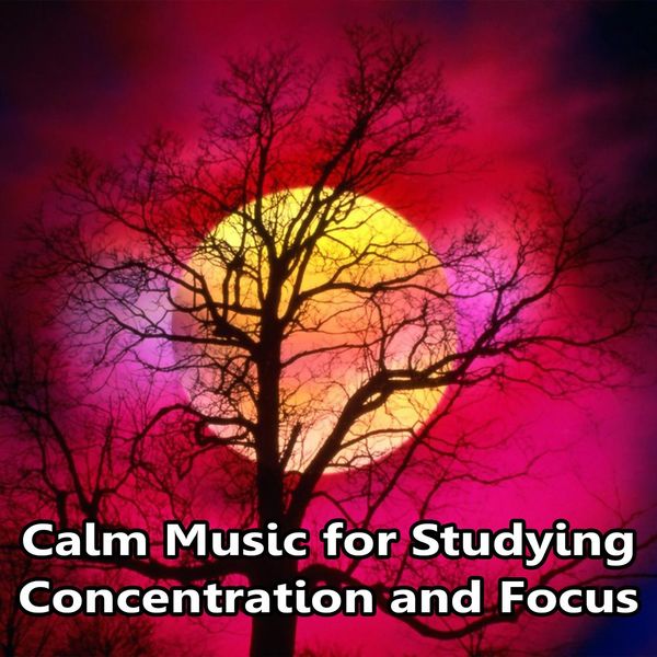 Calm Music for Studying, Concentration and Focus, Concentration Sounds - Qobuz