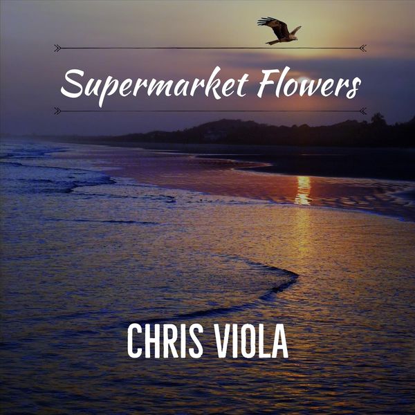 Supermarket Flowers, Chris Viola - Qobuz