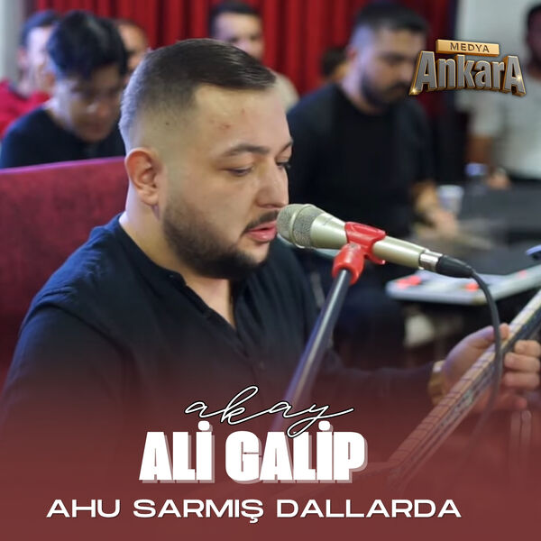 Ahu Sarmuş Dallarda, Ali Galip Akay - Qobuz