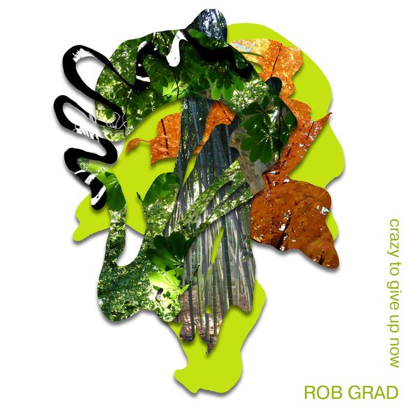 Crazy to Give Up Now, Rob Grad - Qobuz