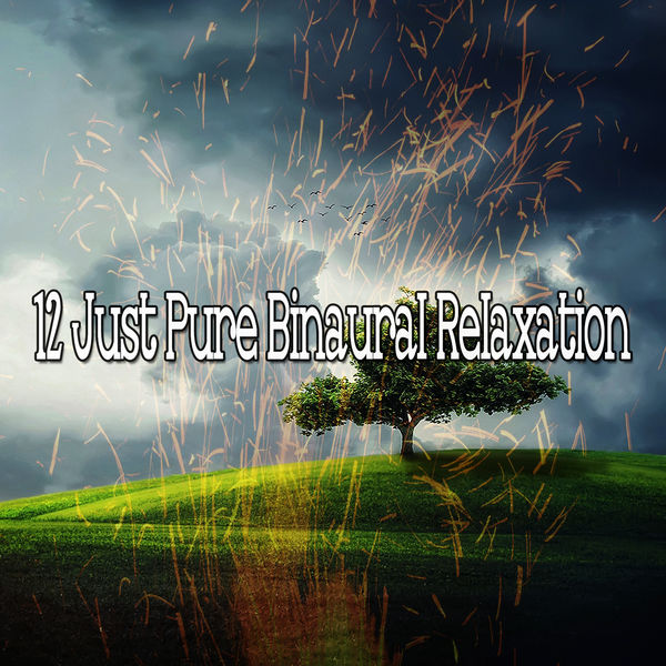 12 Just Pure Binaural Relaxation, Binaural Beats Brain Waves Isochronic Tones Brain Wave ...