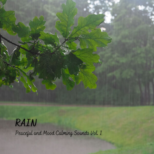 Rain: Peaceful and Mood Calming Sounds Vol. 1, The Relaxation Hub - Qobuz