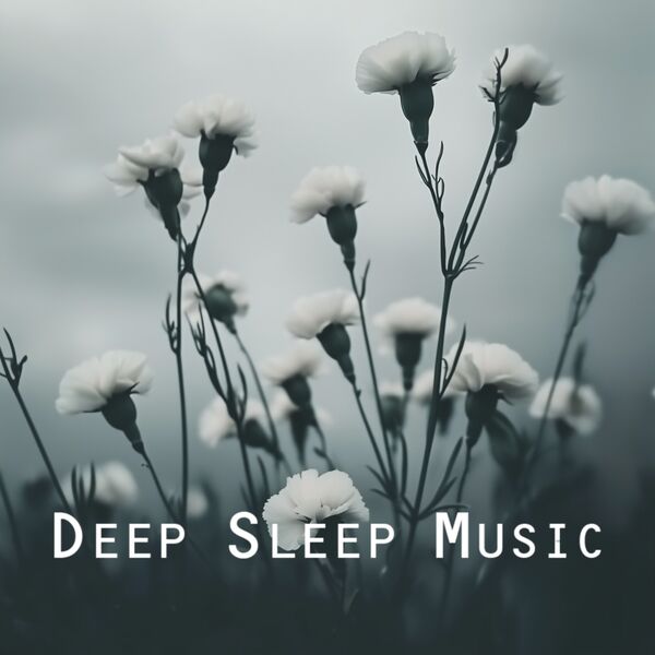 50 Gentle Sleep Songs to Help You Fall Asleep, Deep Sleep Music - Qobuz