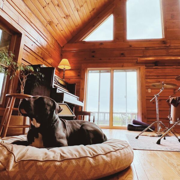 Summertime (feat. Chris Dinosaur & Seth Behler) (Sill & Glade session ...