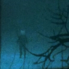 i was only temporary, my head is empty - Qobuz