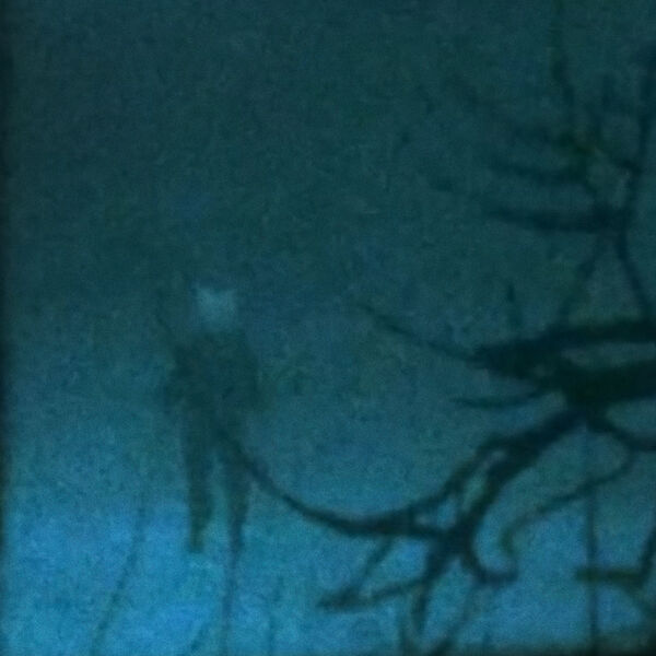 i was only temporary, my head is empty - Qobuz