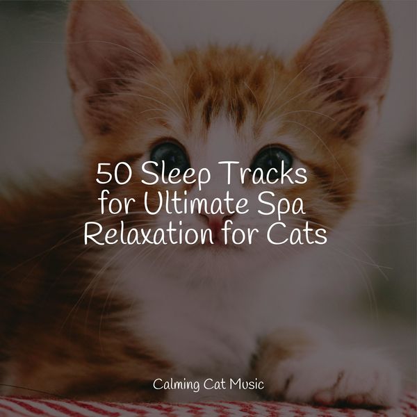 50 Sleep Tracks for Ultimate Spa Relaxation for Cats, Jazz Music ...