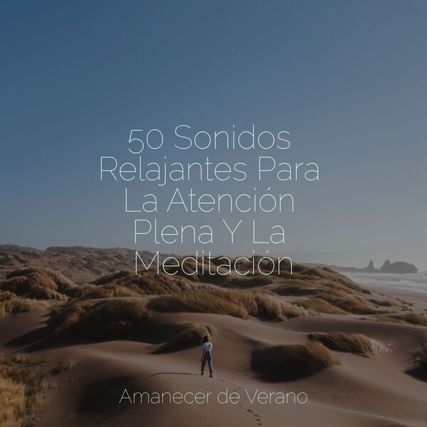 50 Sonidos Relajantes Para La Atención Plena Y La Meditación, Música ...