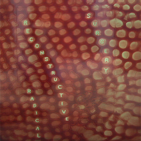 Scotty Hard's Radical Reconstructive Surgery-John Medeski, Matthew ...