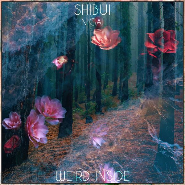 Weird Inside, Shibui Nigai - Qobuz