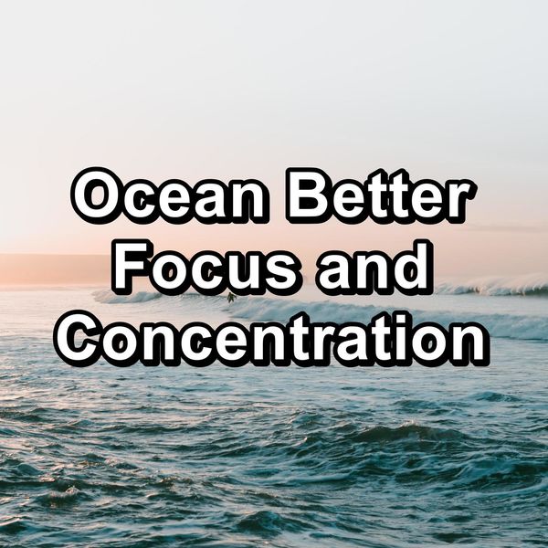 Ocean Better Focus And Concentration Cam Dut Por Wave Sounds For Sleep