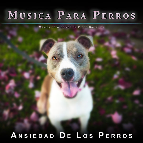 Album Música Para Perros: Música para Perros de Piano Dormidos, Música ...