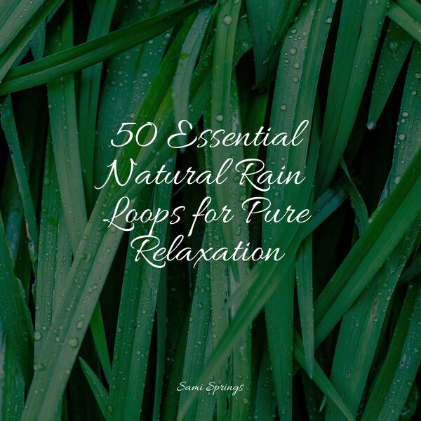 50 Sounds of Rain and Nature for Meditation, The Rain Library - Qobuz