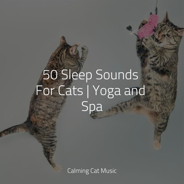 50 Sleep Sounds For Cats | Yoga and Spa, Music For Cats Peace - Qobuz