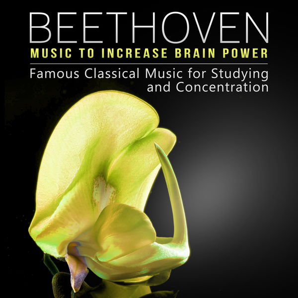 Beethoven Music to Increase Brain Power - Famous Classical Music for ...
