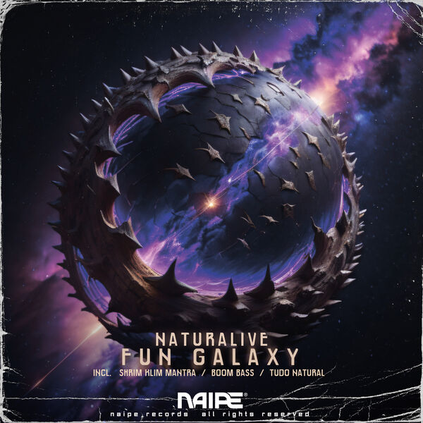 Fun Galaxy (Original Mix), Naturalive - Qobuz